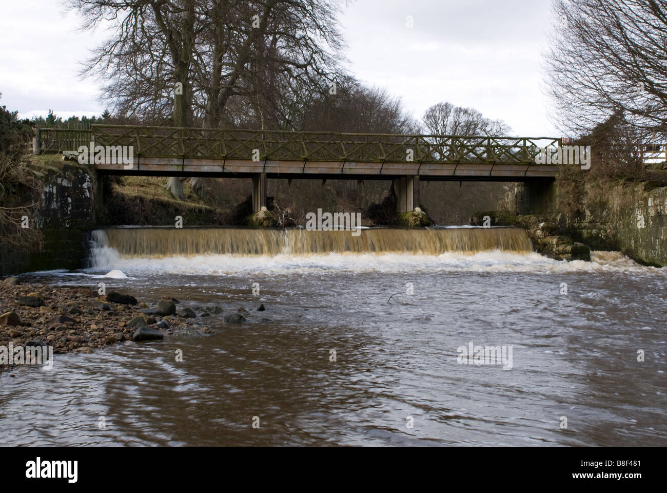 Hulne park hi-res stock photography and images - Alamy