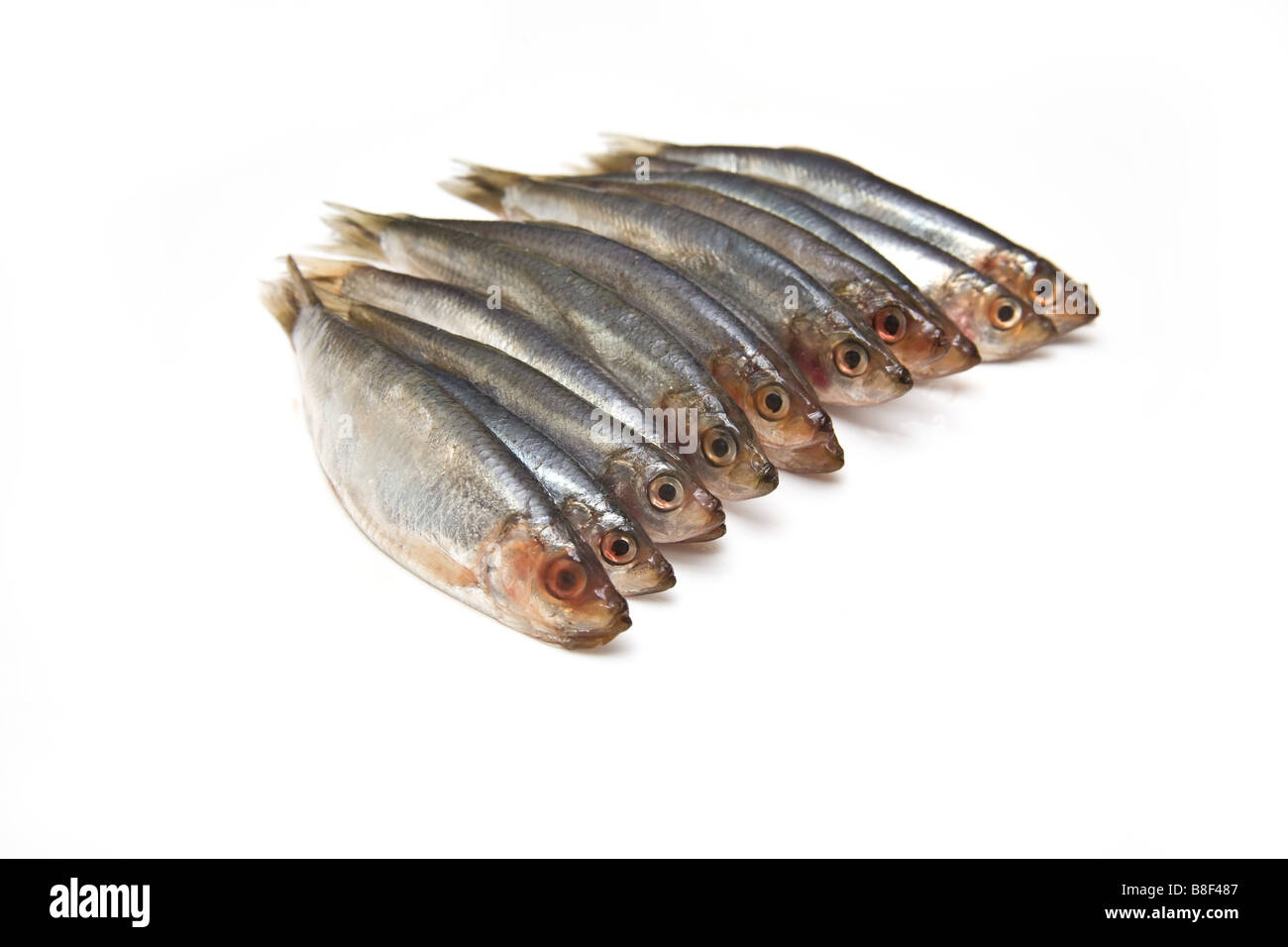 Sprats whole raw fish isolated on a white studio background Stock Photo ...