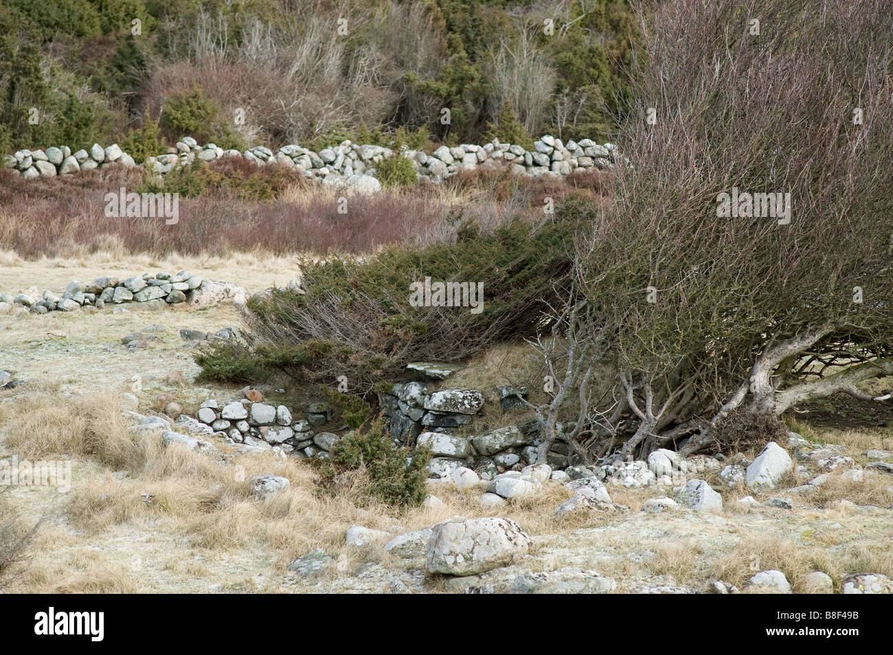 Ruin farmers house in hi-res stock photography and images - Alamy