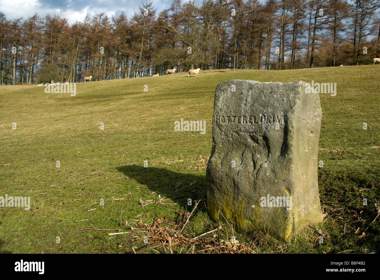 Hulne park hi-res stock photography and images - Alamy