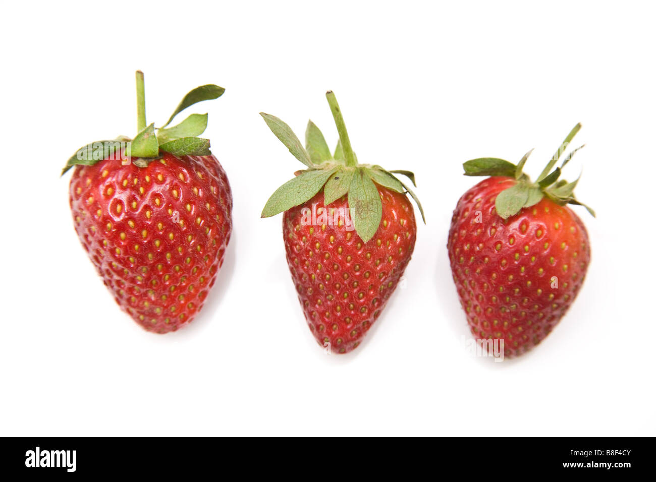 Three strawberries isolated on a white studio background Stock Photo ...
