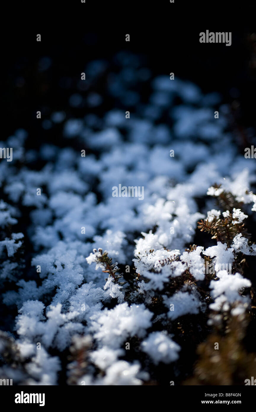 Melting plant hi-res stock photography and images - Alamy