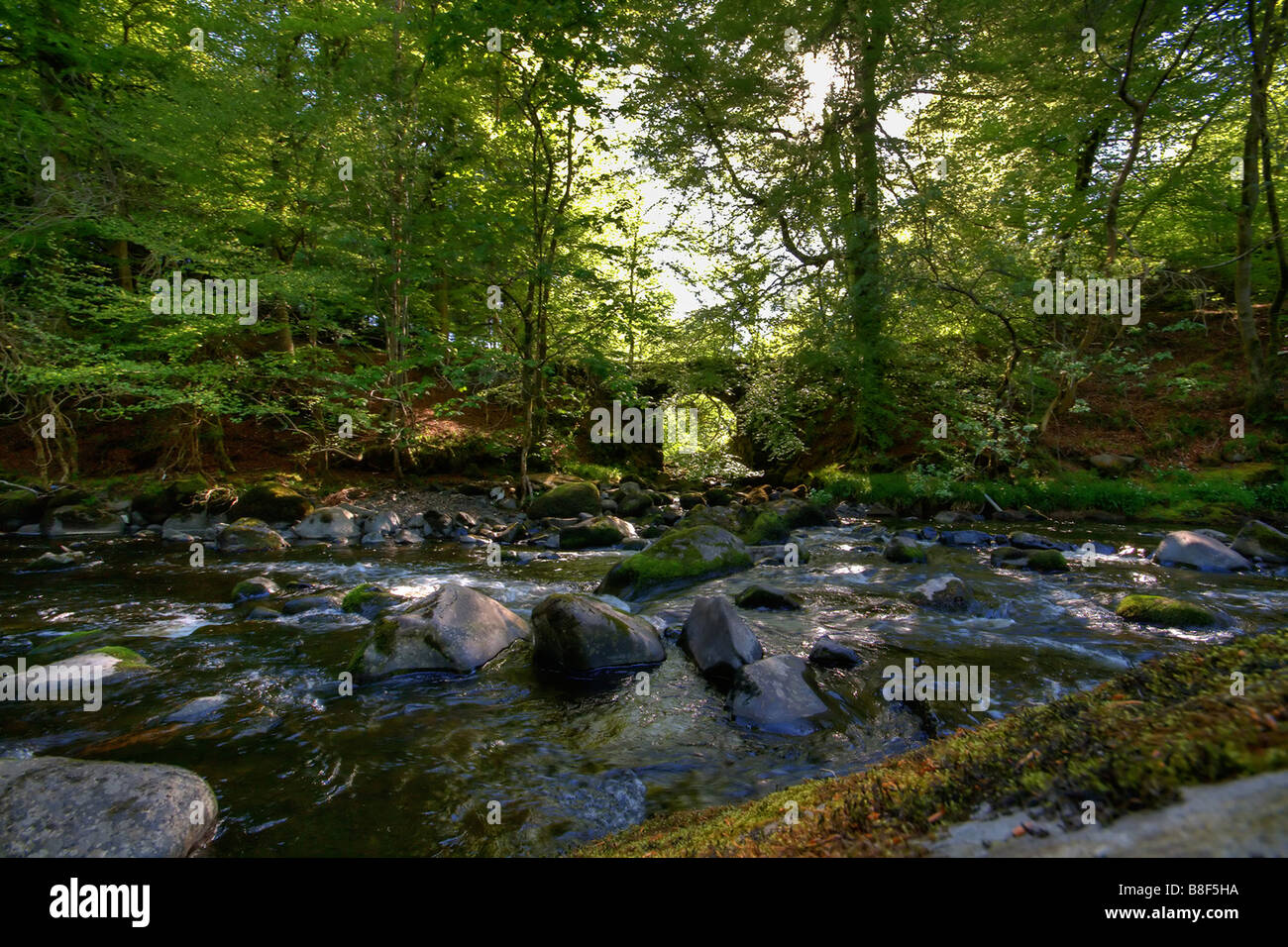 River Carron, Springtime Stock Photo - Alamy