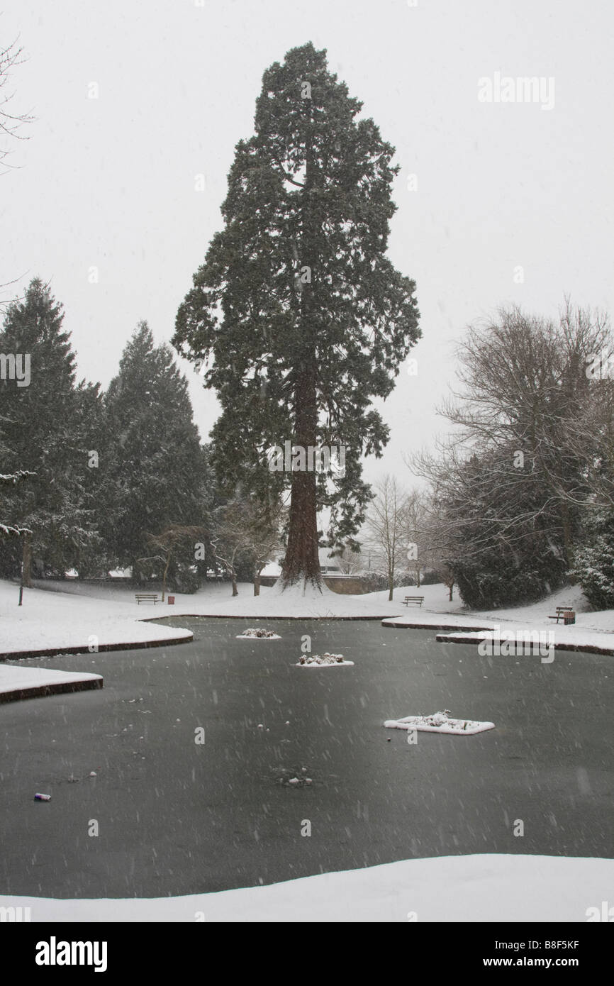 Tring Memorial Gardens during snowstorm Hertfordshire Stock Photo - Alamy