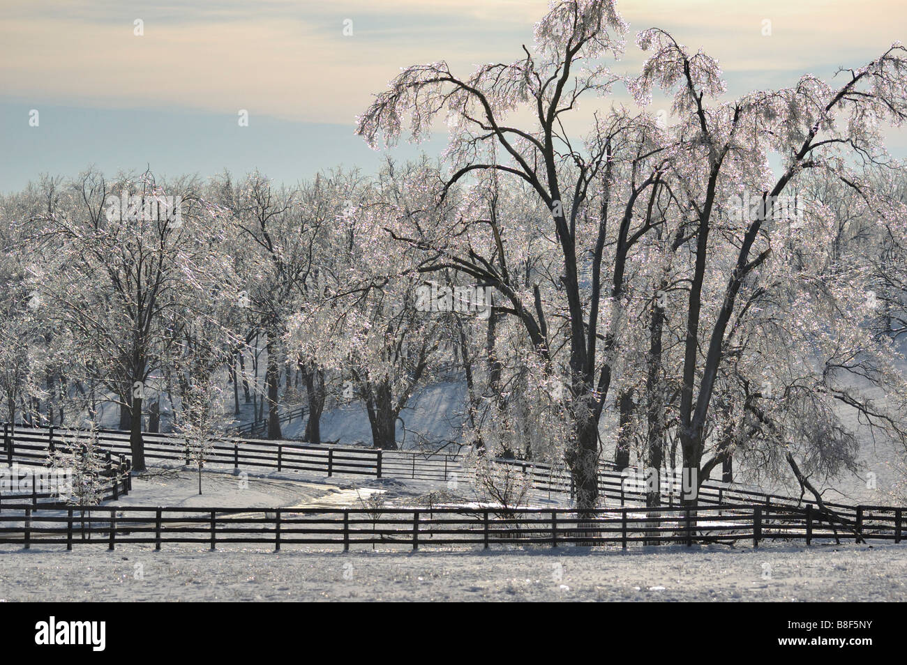 Kentucky nature winter hi-res stock photography and images - Alamy