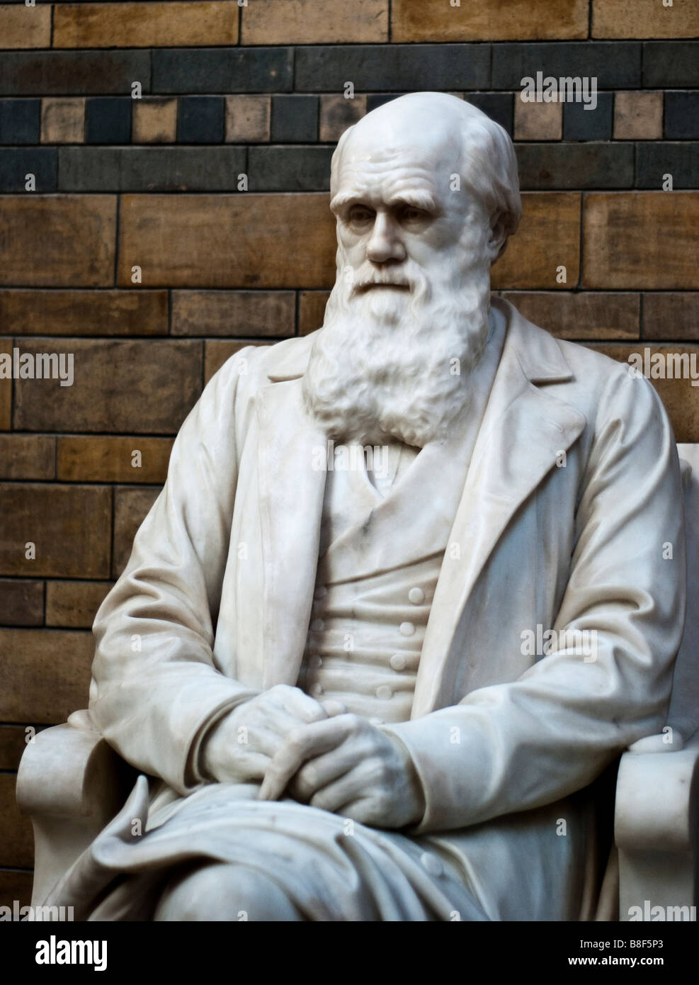 Statue of Darwin, Natural History Museum Stock Photo - Alamy