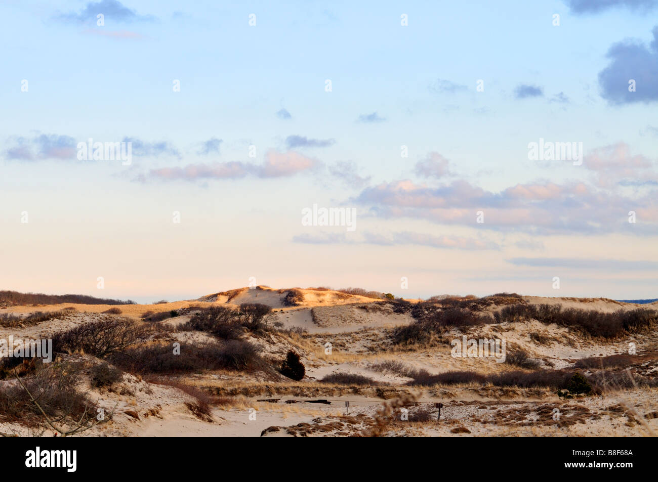Sand dunes at "Sandy Neck Beach" in Sandwich Barnstable "Cape Cod Stock ...