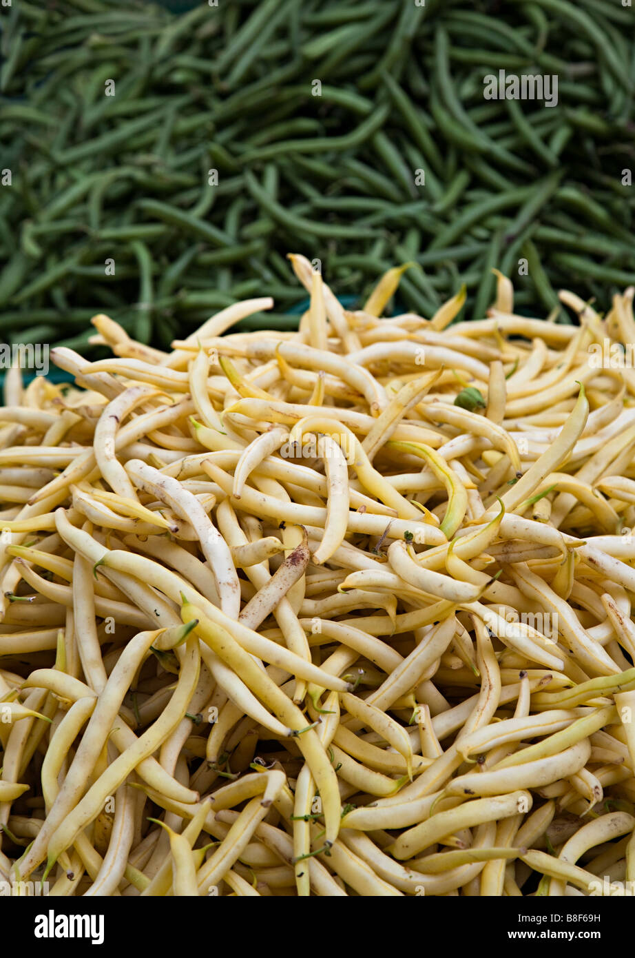 White and green French beans on sale in market Stock Photo - Alamy
