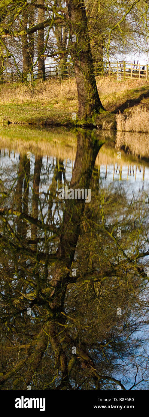 Hardwick pond hi-res stock photography and images - Alamy