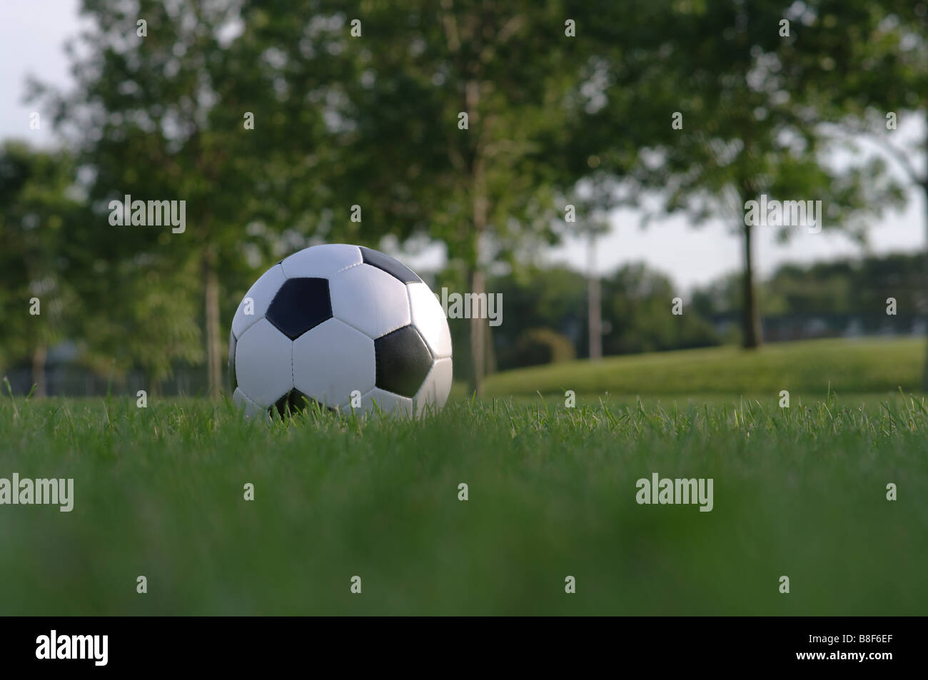Soccer ball on the field Stock Photo - Alamy