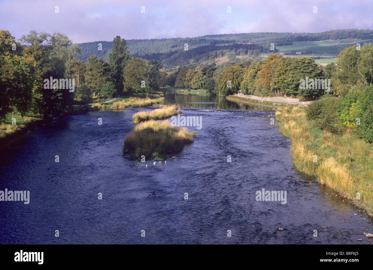 River Tweed Peebles Borders Region Autumn colour Scotland UK Scottish ...