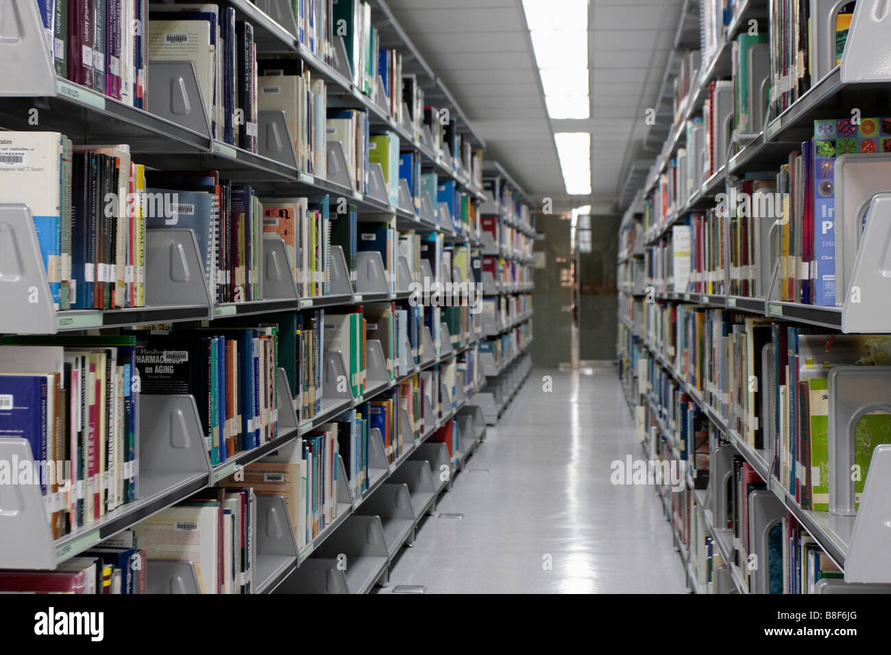 Books and bookshelves display in library Stock Photo - Alamy