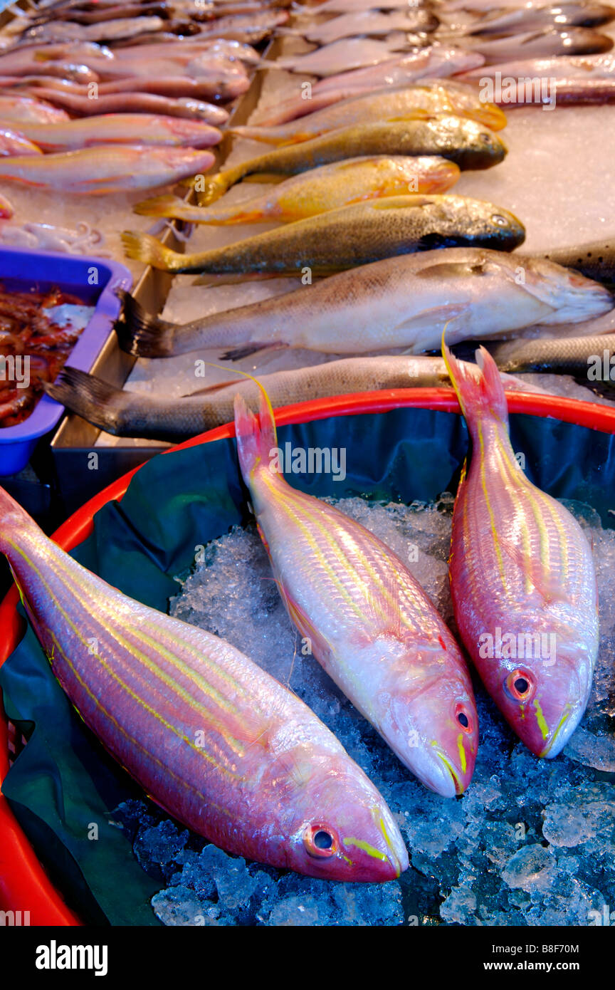 Fresh raw fish on ice on display at a market stall Stock Photo - Alamy