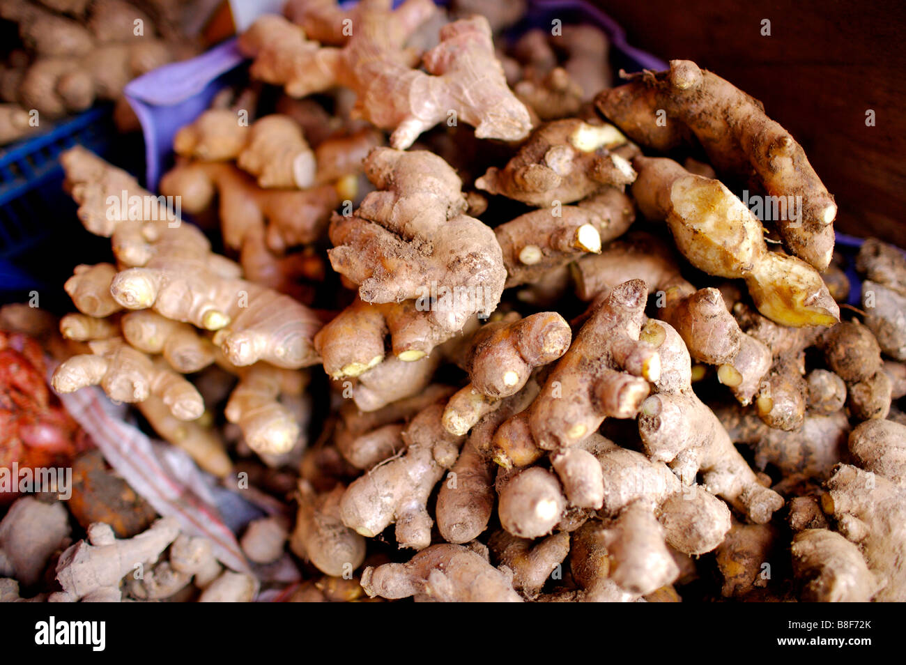 Raw ginger in baskets on display in a market stall Stock Photo - Alamy