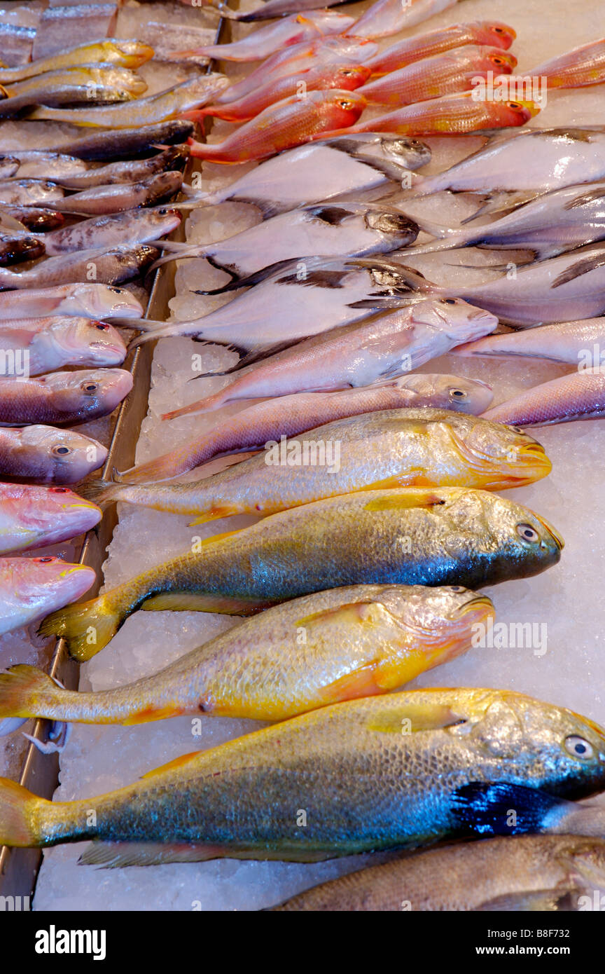 A variety of fresh fish on ice on display at a market stall Stock Photo ...