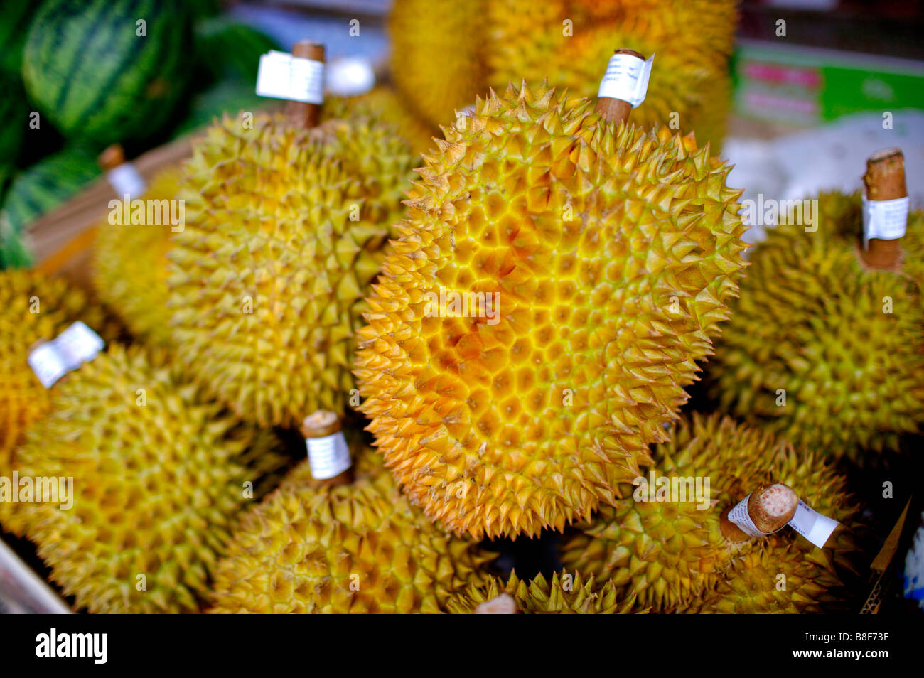 Ripe durian on display with watermelon at the back Stock Photo - Alamy