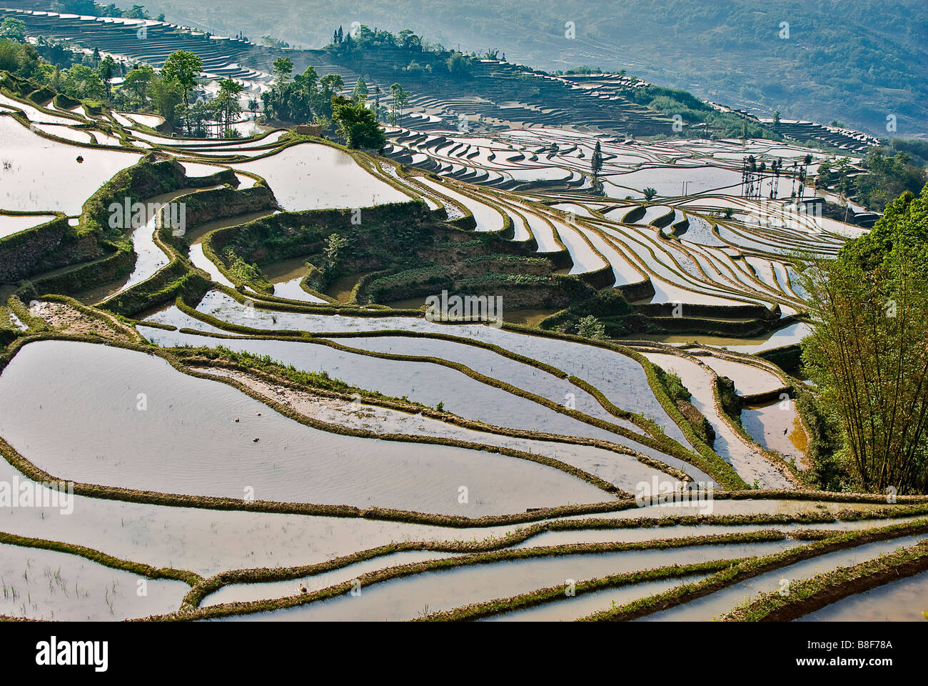 Bada china hi-res stock photography and images - Alamy