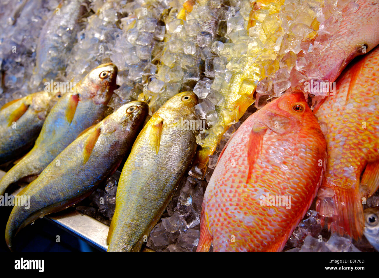 Fresh fish on ice on display at a fish monger s stall Stock Photo - Alamy