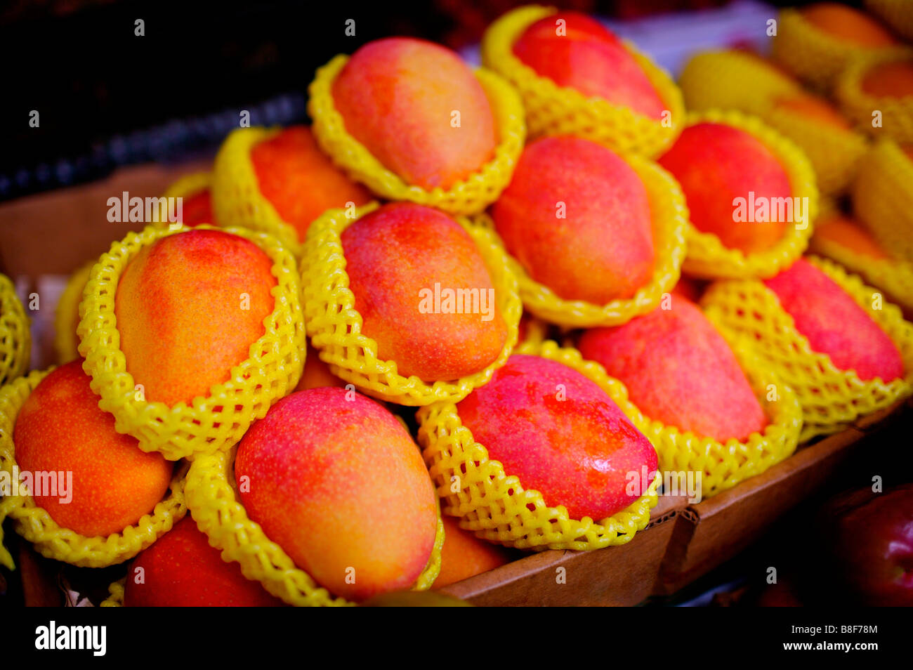 Mangoes in protective styrofoam wrapping in boxes on display Stock ...