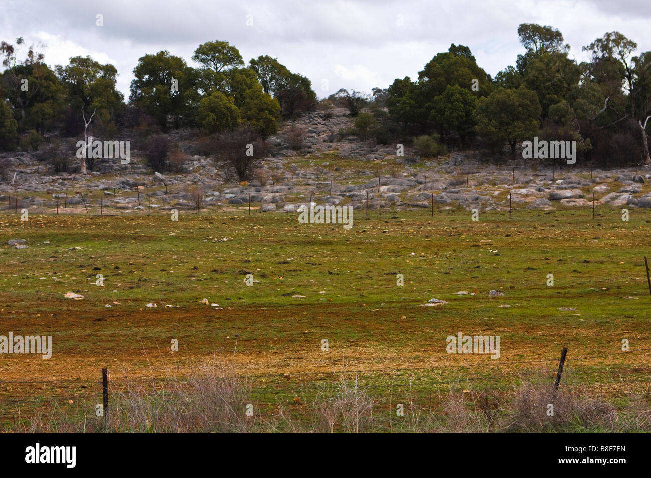 Grass rocks and trees hi-res stock photography and images - Alamy