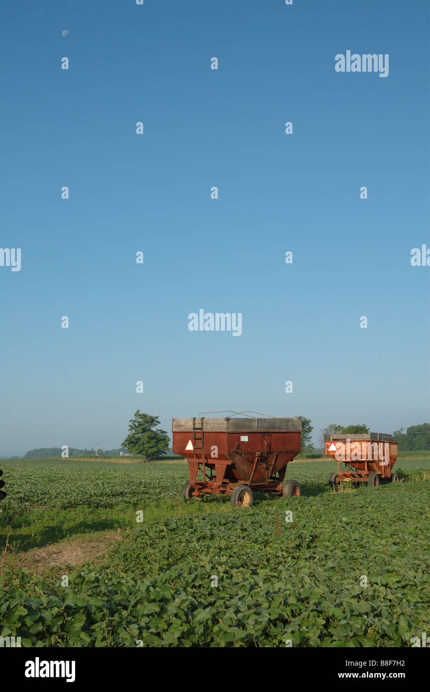 Grain wagons hi-res stock photography and images - Alamy