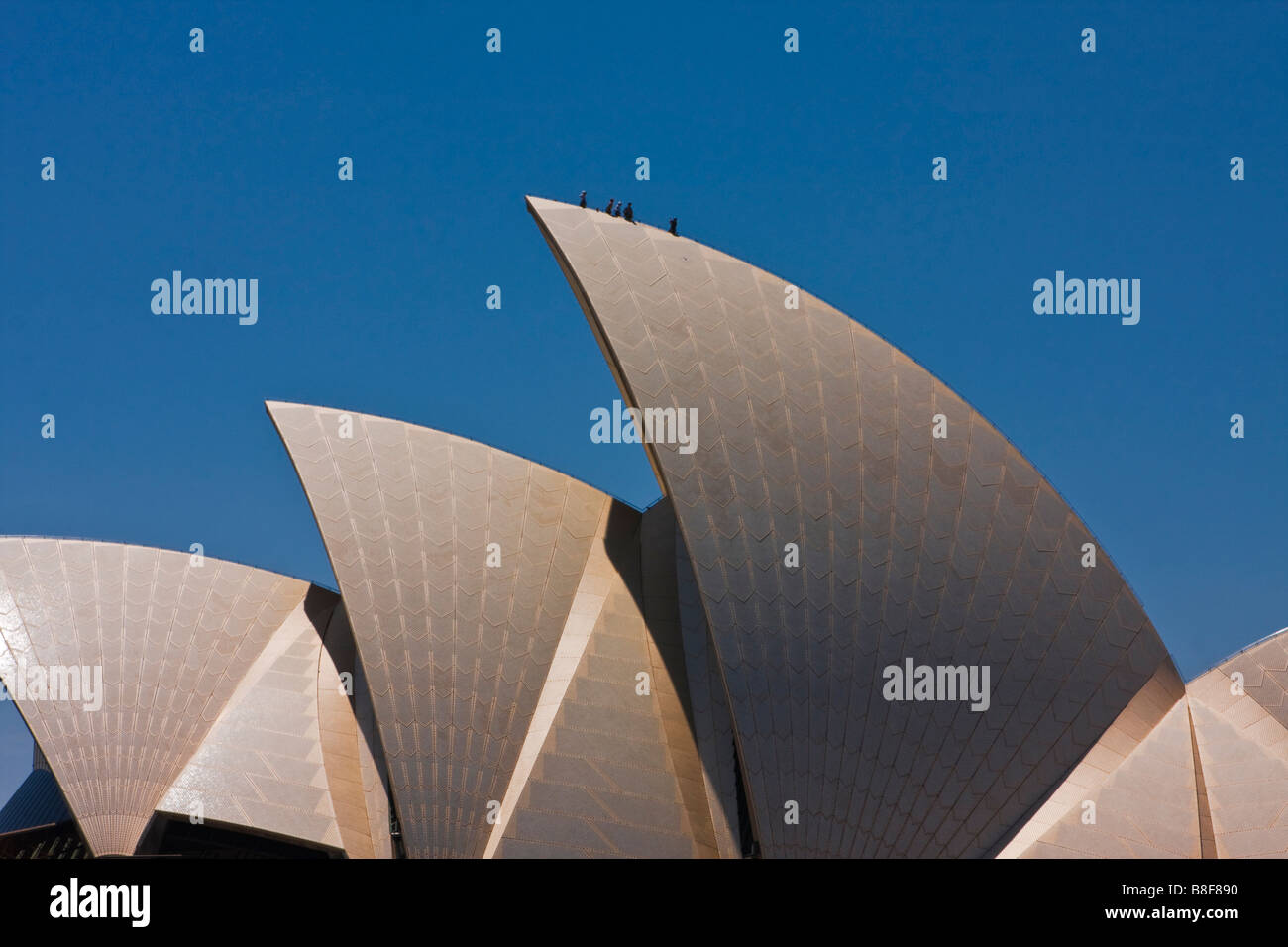 Sydney Opera House roof Stock Photo - Alamy