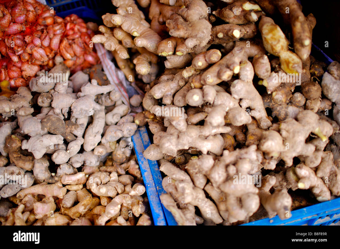 Raw ginger in plastic boxes on display with bags of garlic at the back ...