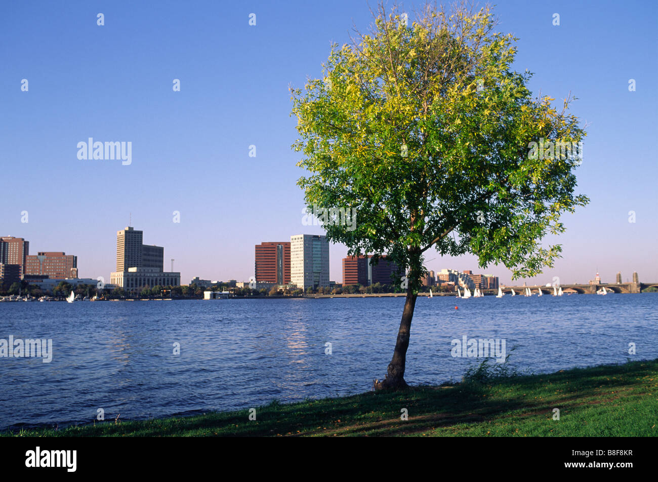 Esplanade, Charles River, Boston, Massachusetts Stock Photo - Alamy