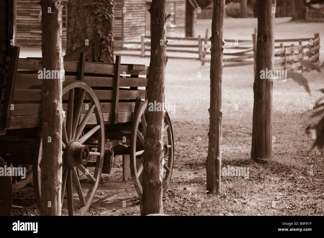 Sepia toned photograph hi-res stock photography and images - Alamy