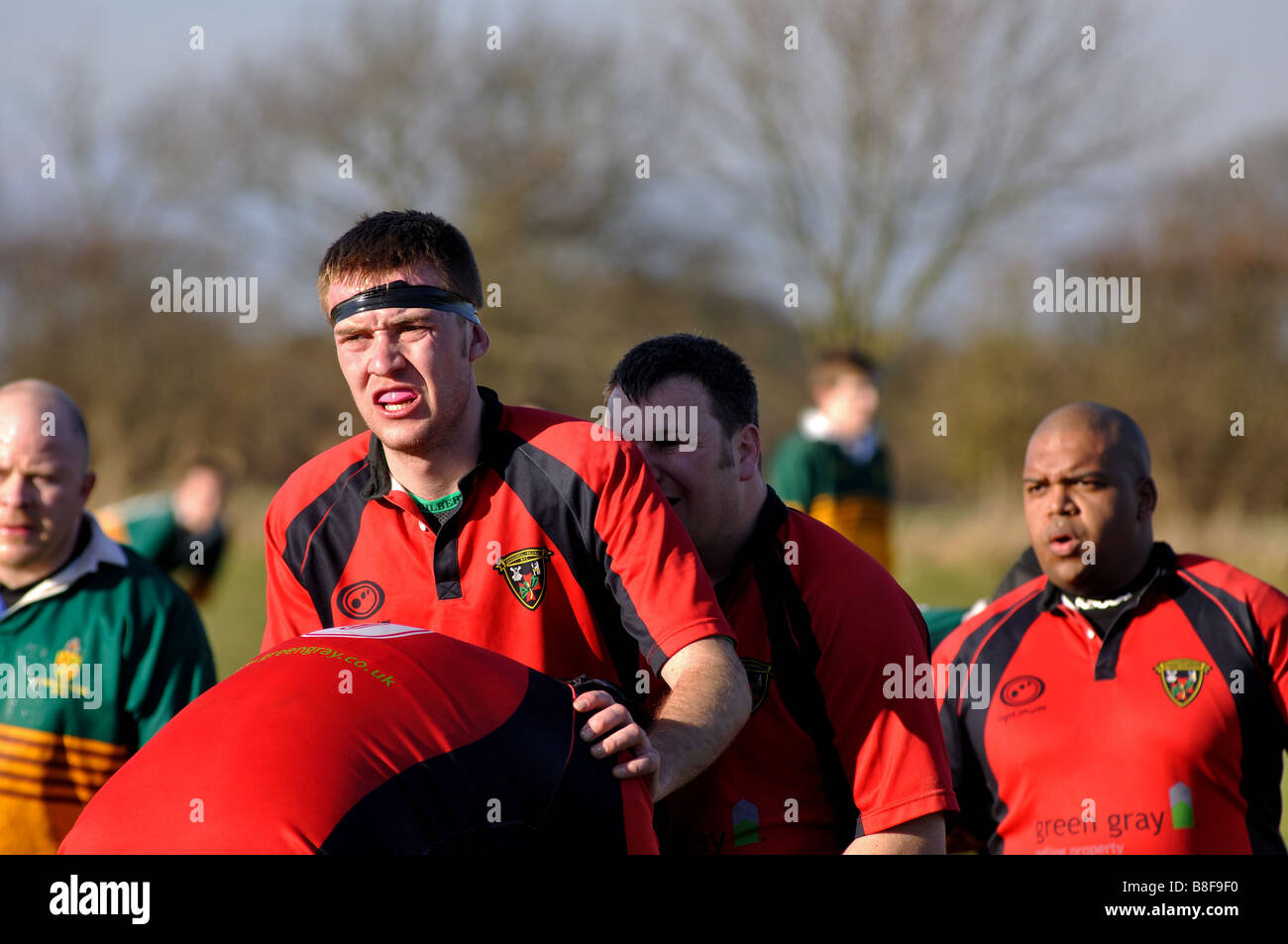 Gum shield rugby hi-res stock photography and images - Alamy