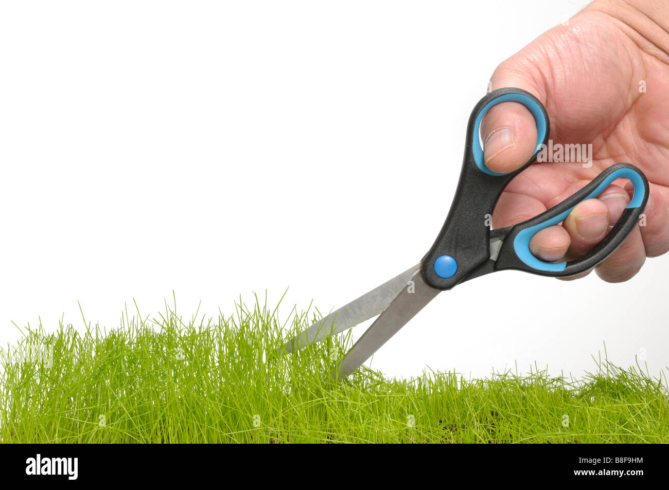 Cutting grass with a pair of scissors Stock Photo - Alamy