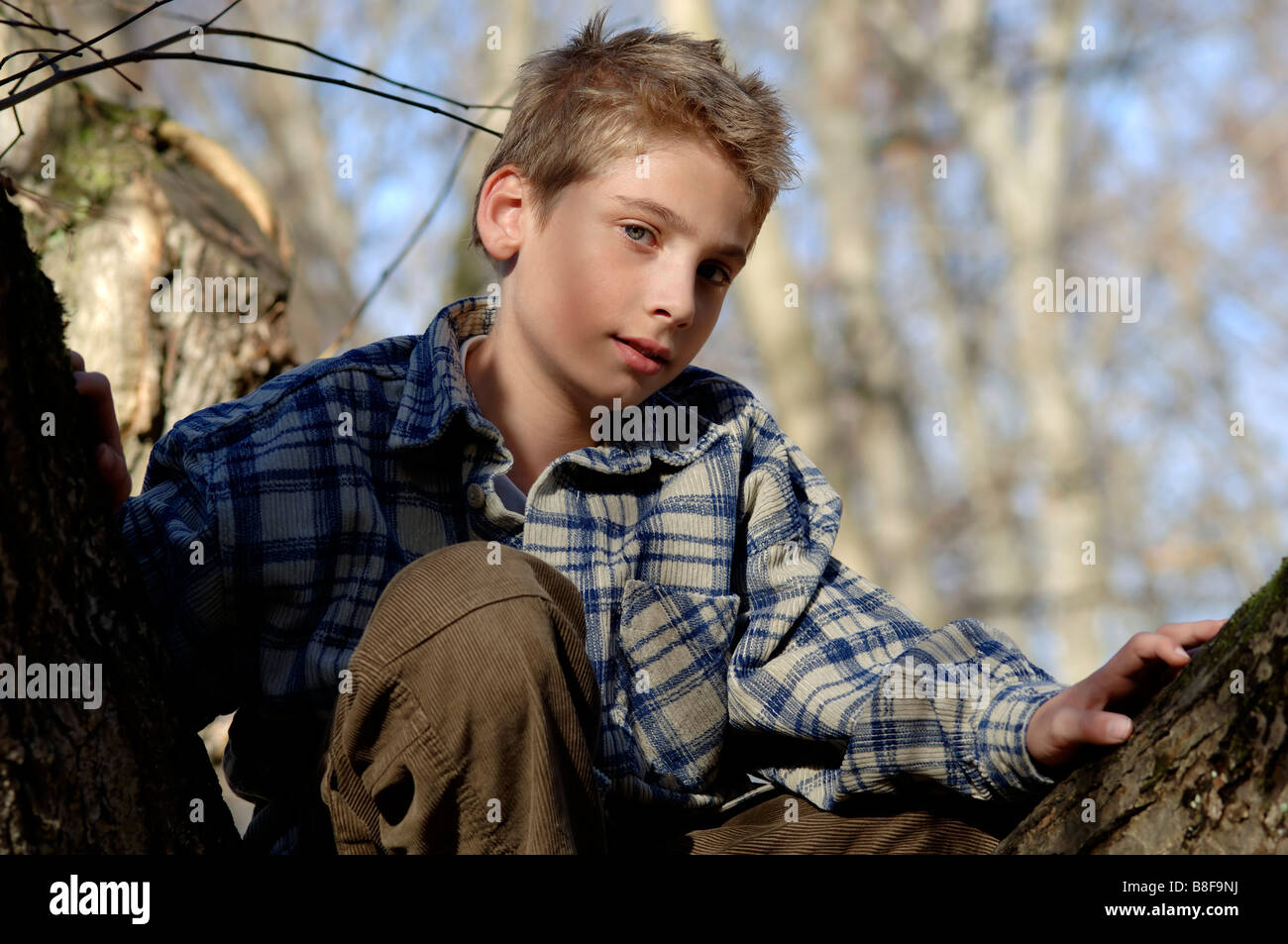 Boy sitting in a tree Stock Photo - Alamy