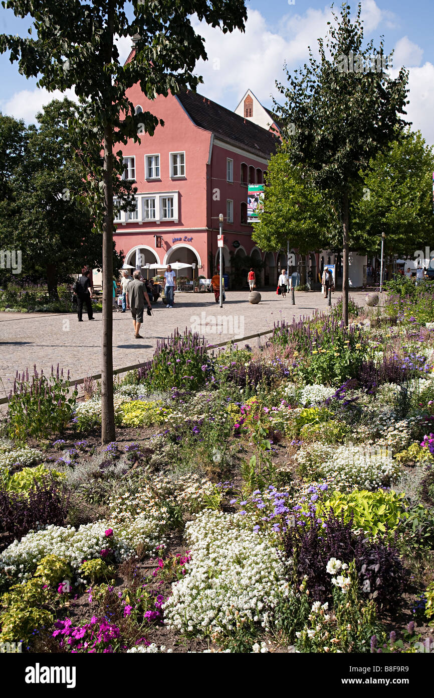 Flowerbed in town centre Neubrandenburg Germany Stock Photo - Alamy