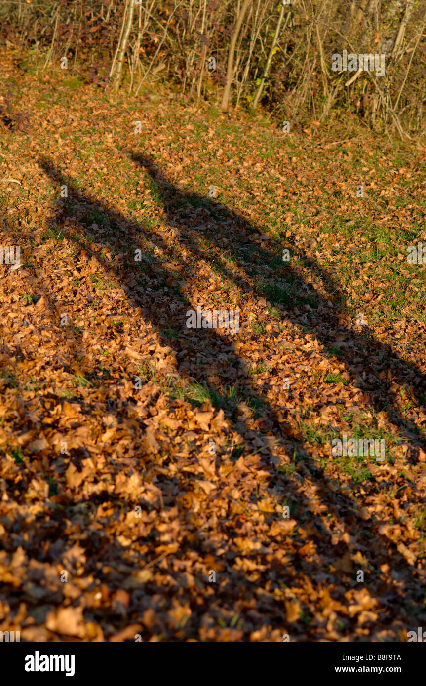 Long shadows cast two people hi-res stock photography and images - Alamy