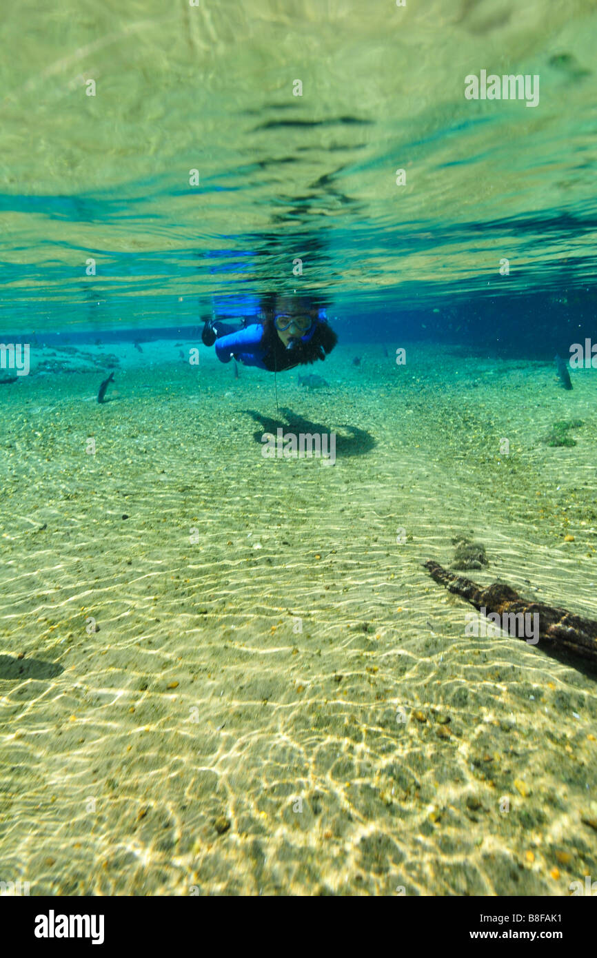 Free diver explores the underwater landscape floating down Olho D Agua ...