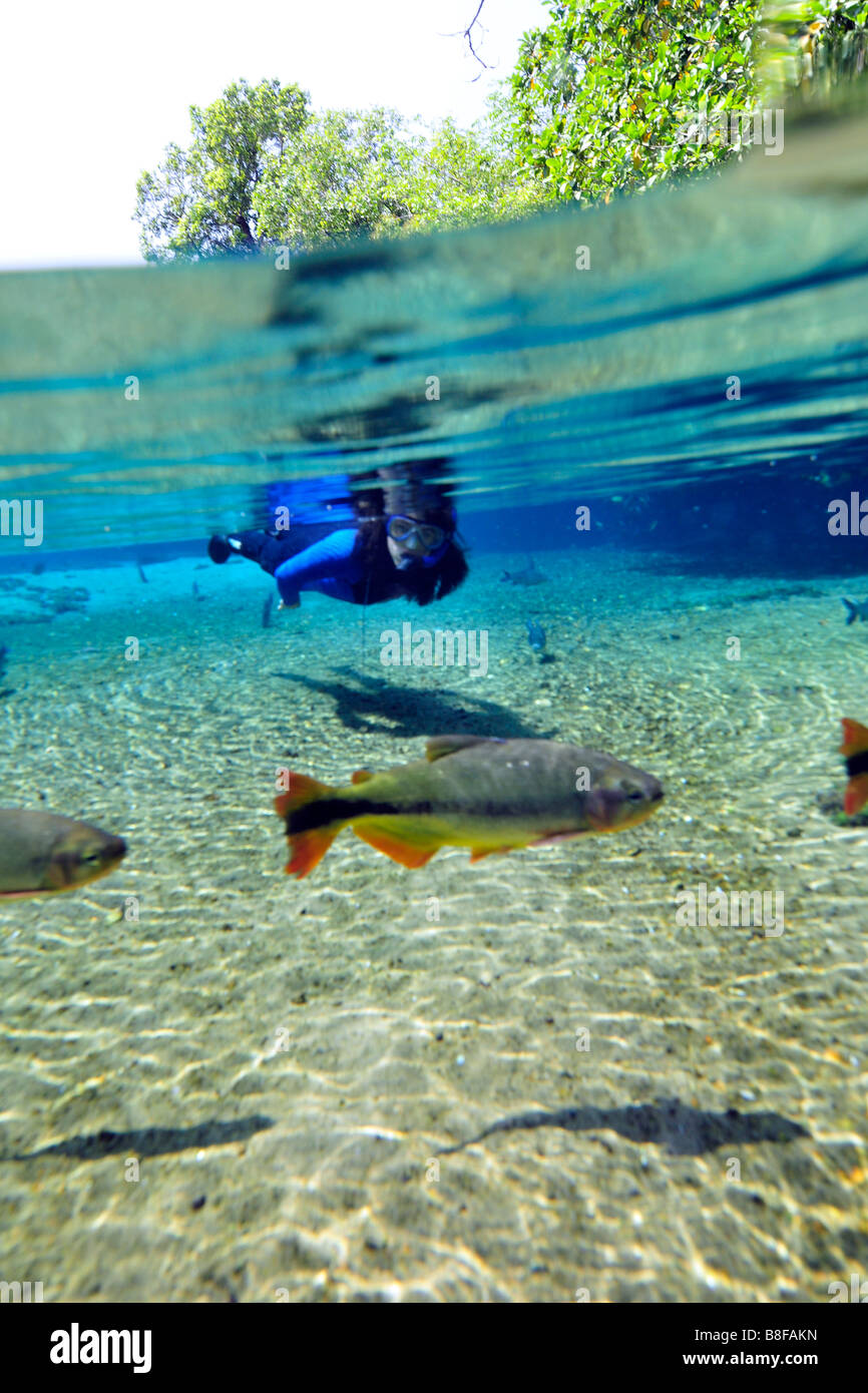 Free diver explores the underwater landscape floating down Olho D Agua ...