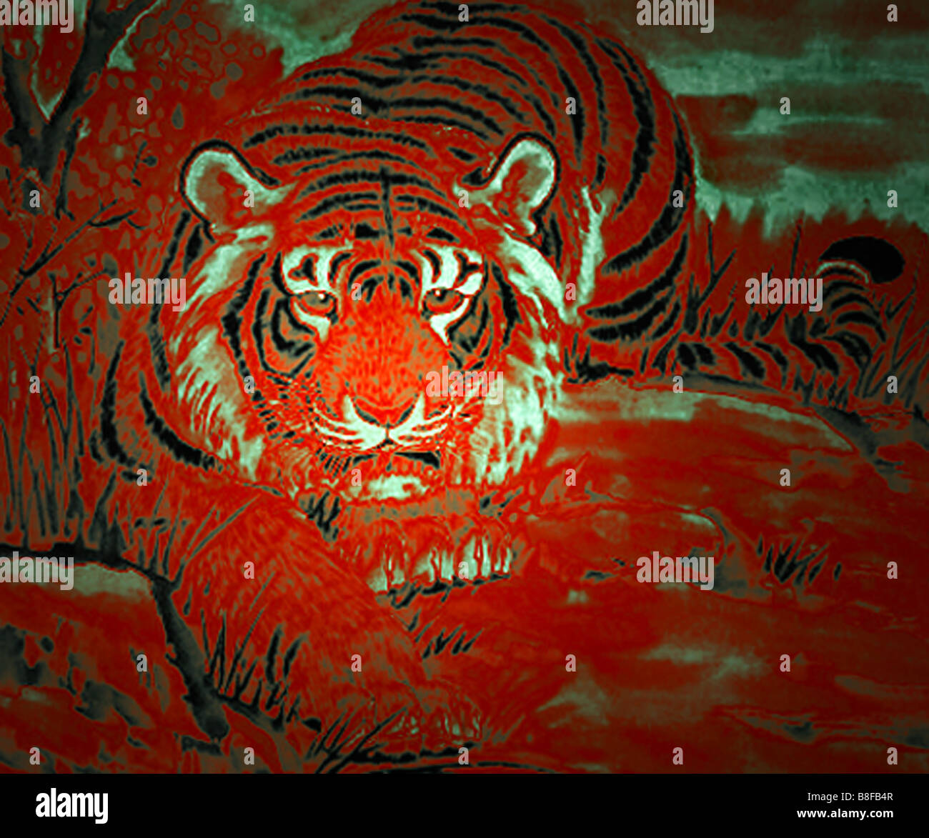 Tiger prowling jungle hi-res stock photography and images - Alamy