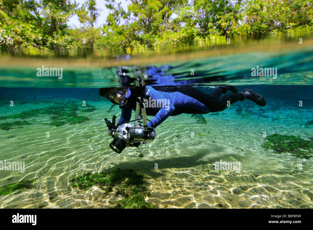 Underwater photographer explores the underwater landscape floating down ...