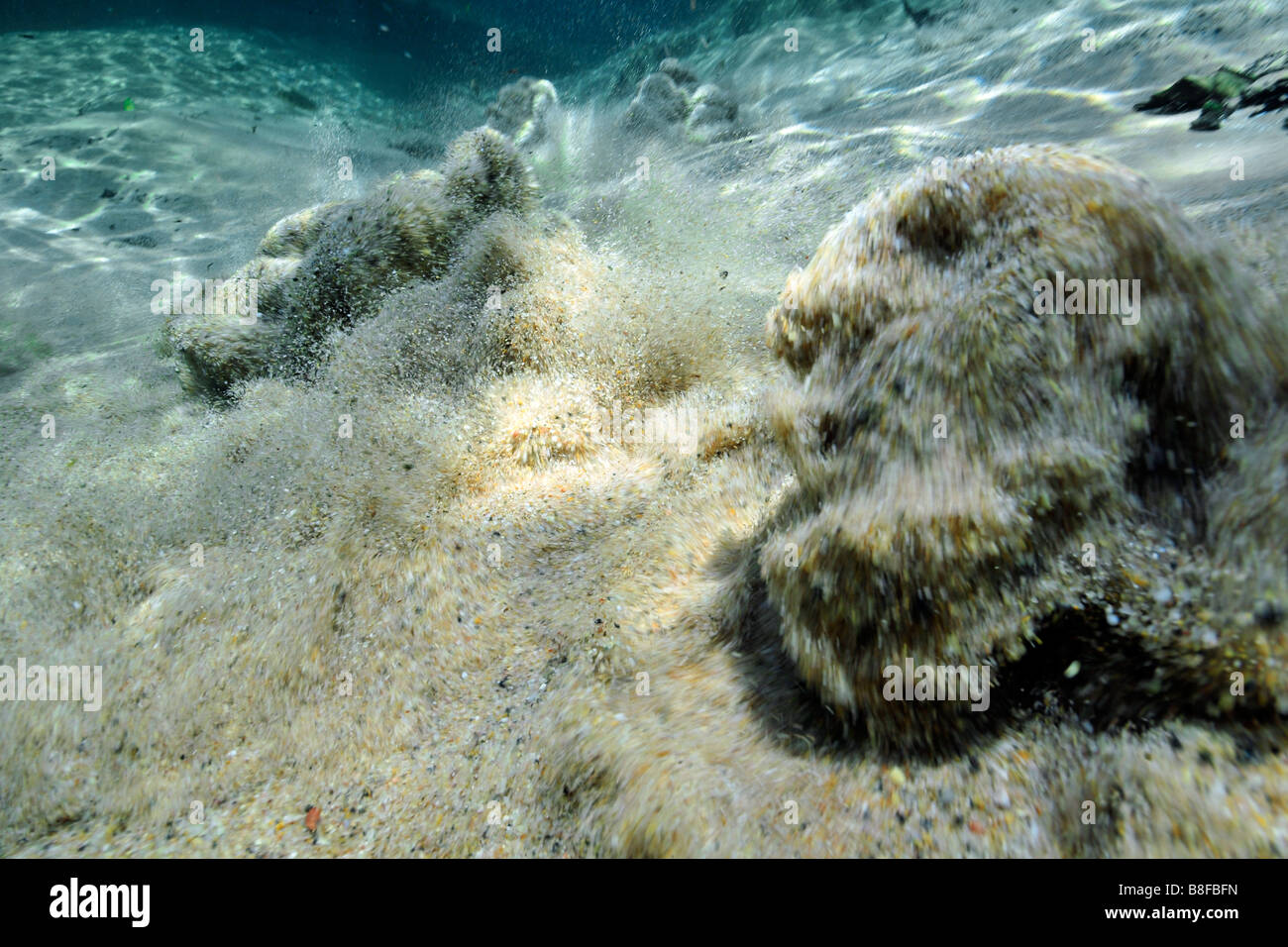 Volcano an underwater spring at Prata river Bonito Mato Grosso do Sul ...