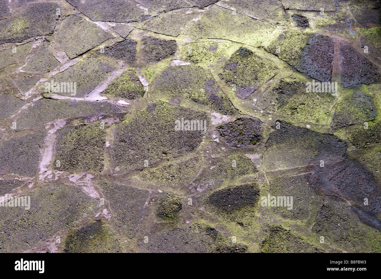 Algae concrete hi-res stock photography and images - Alamy