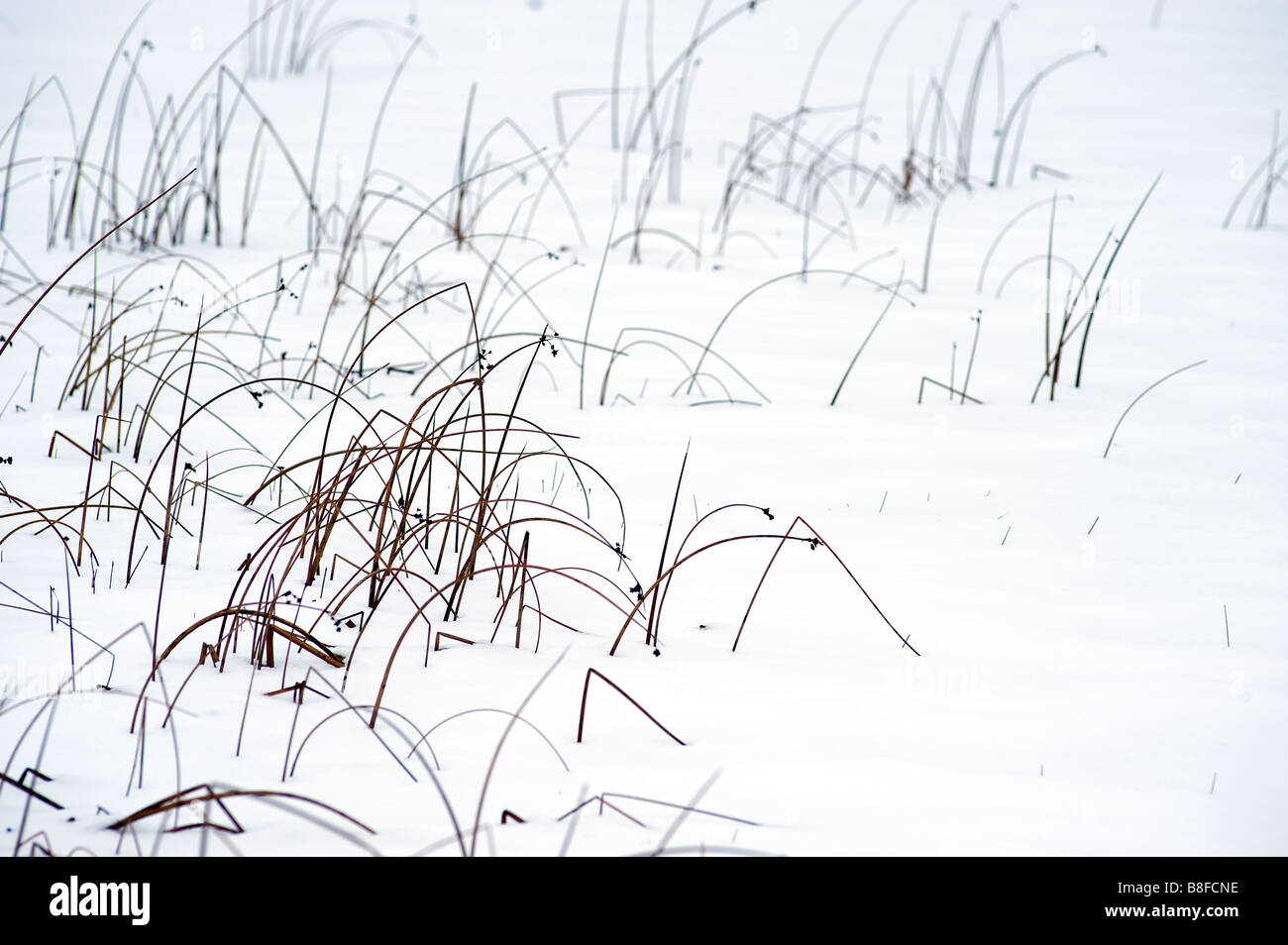 Winter detail details hi-res stock photography and images - Alamy