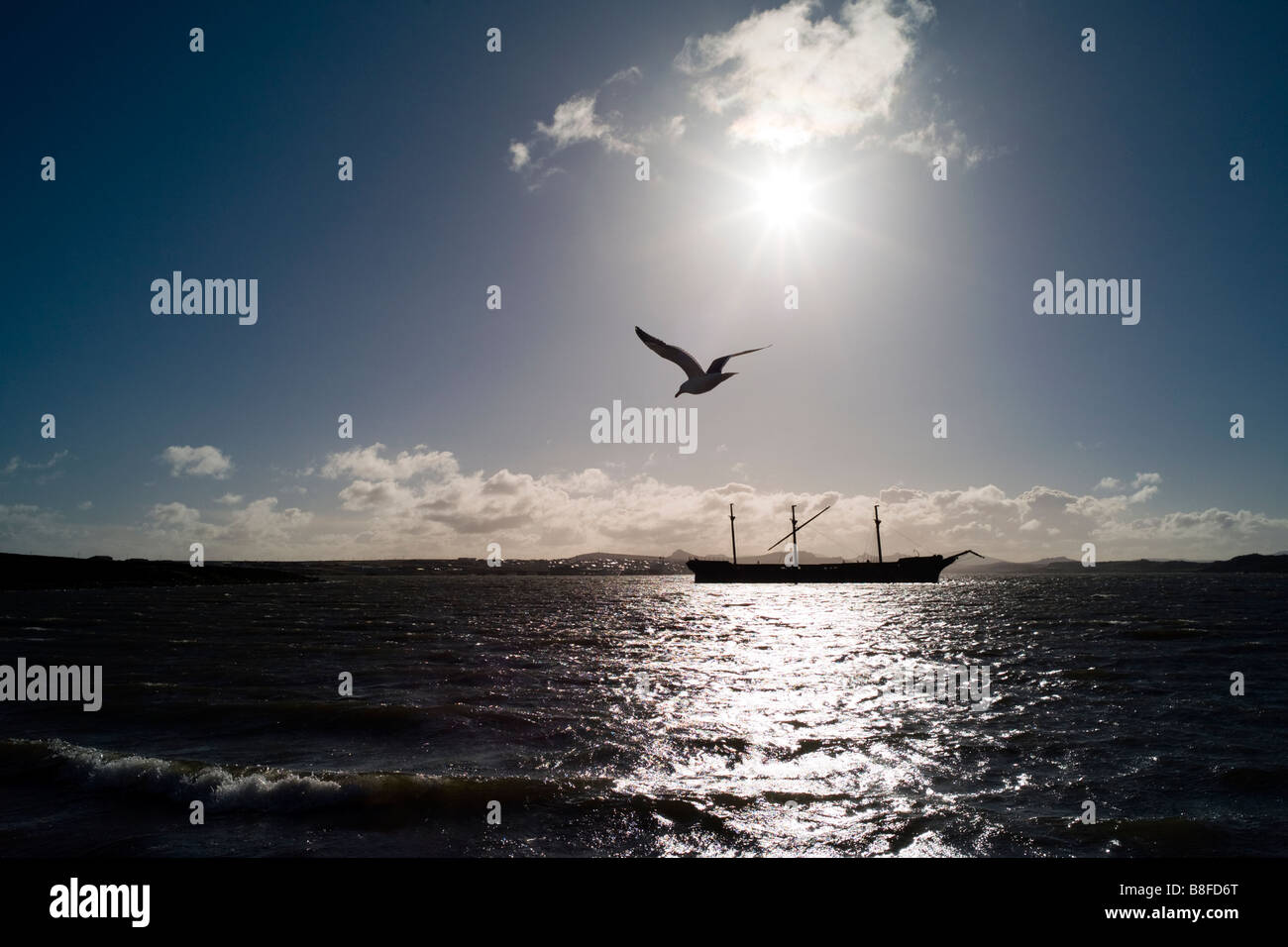 Lady elizabeth ship wreck hi-res stock photography and images - Alamy
