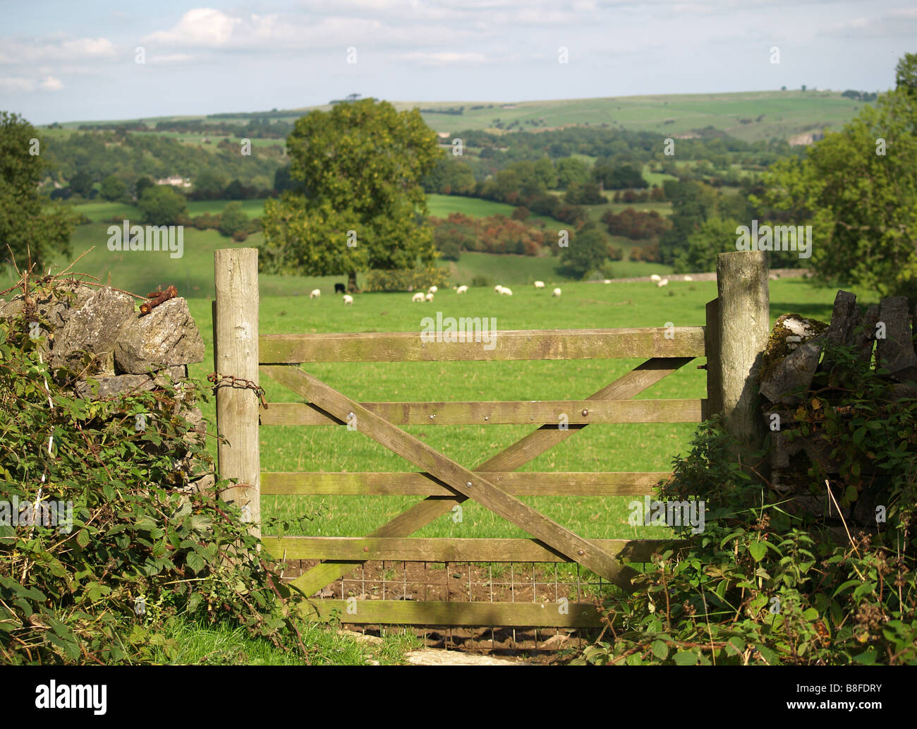 Typical wooden field gate hi-res stock photography and images - Alamy