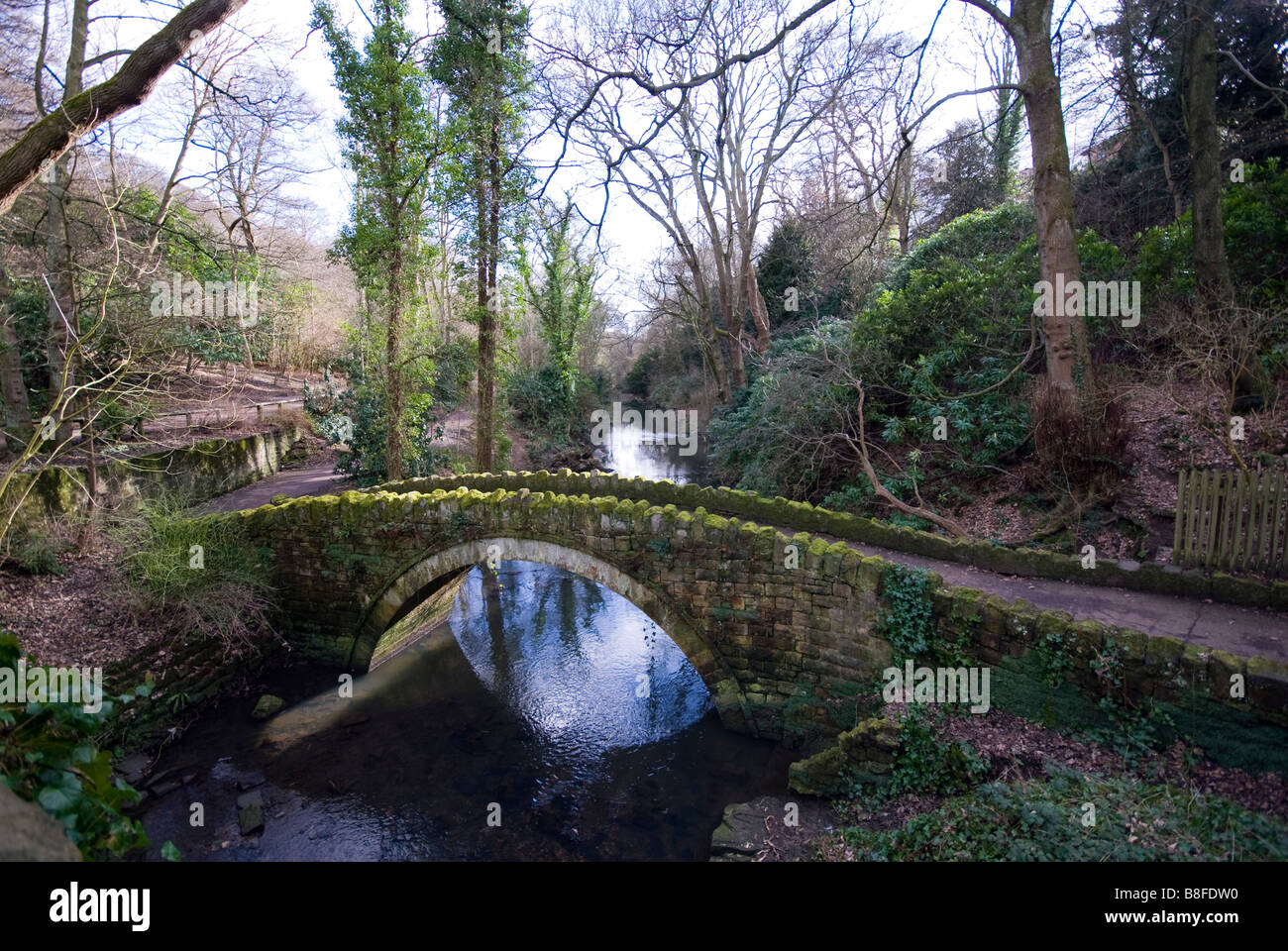 Jesmond Dene, bridge over the Ouse Burn Stock Photo - Alamy