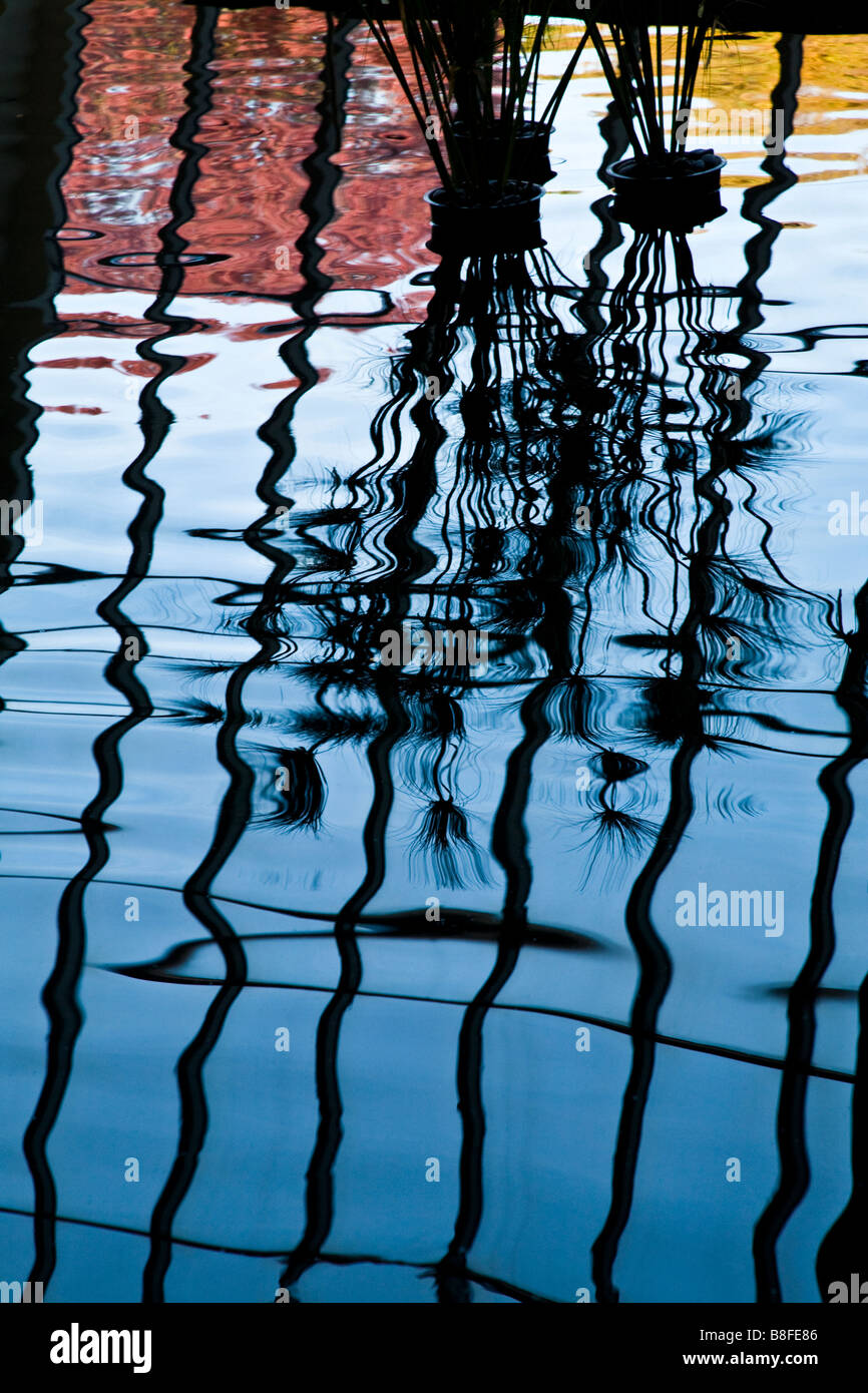 Glass reflections in water Stock Photo - Alamy