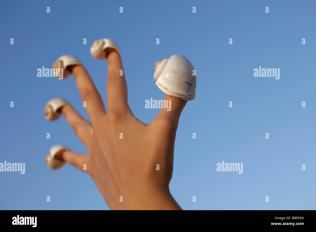 Snail-shells on every finger of a hand Stock Photo - Alamy
