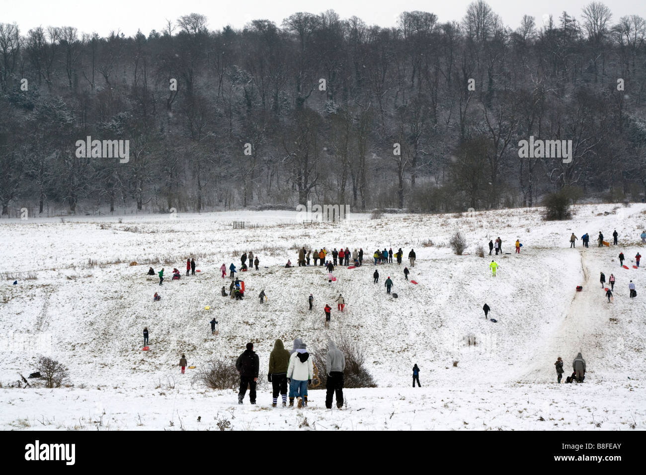 Tring Park - Hertfordshire Stock Photo - Alamy
