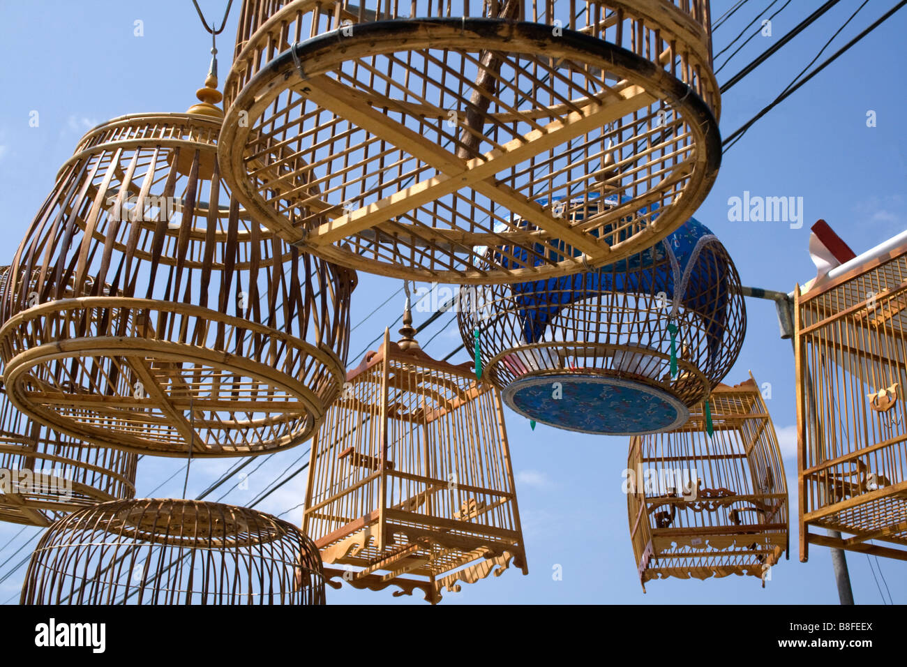 Hanging cages hi-res stock photography and images - Alamy