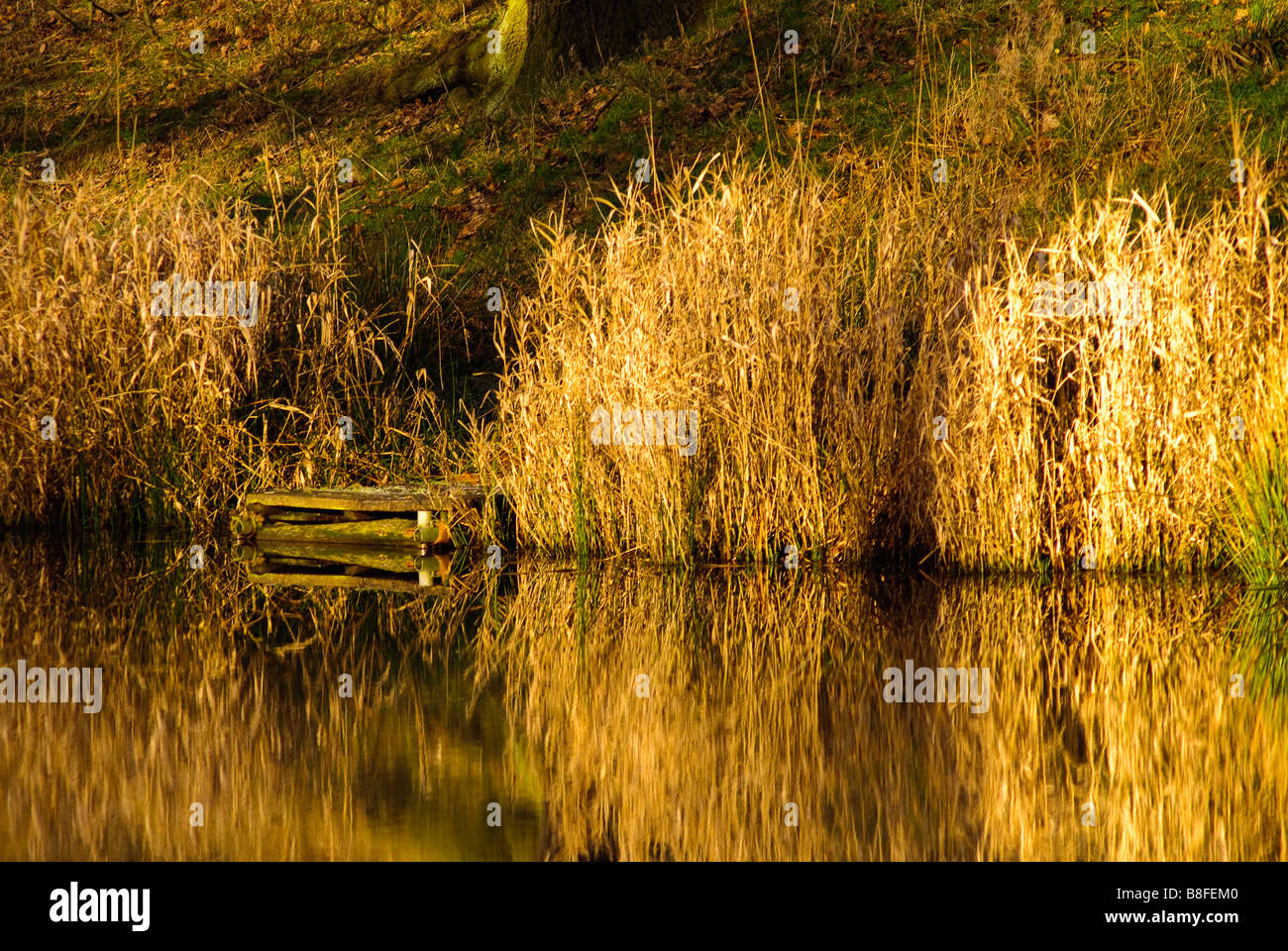 Hardwick pond hi-res stock photography and images - Alamy
