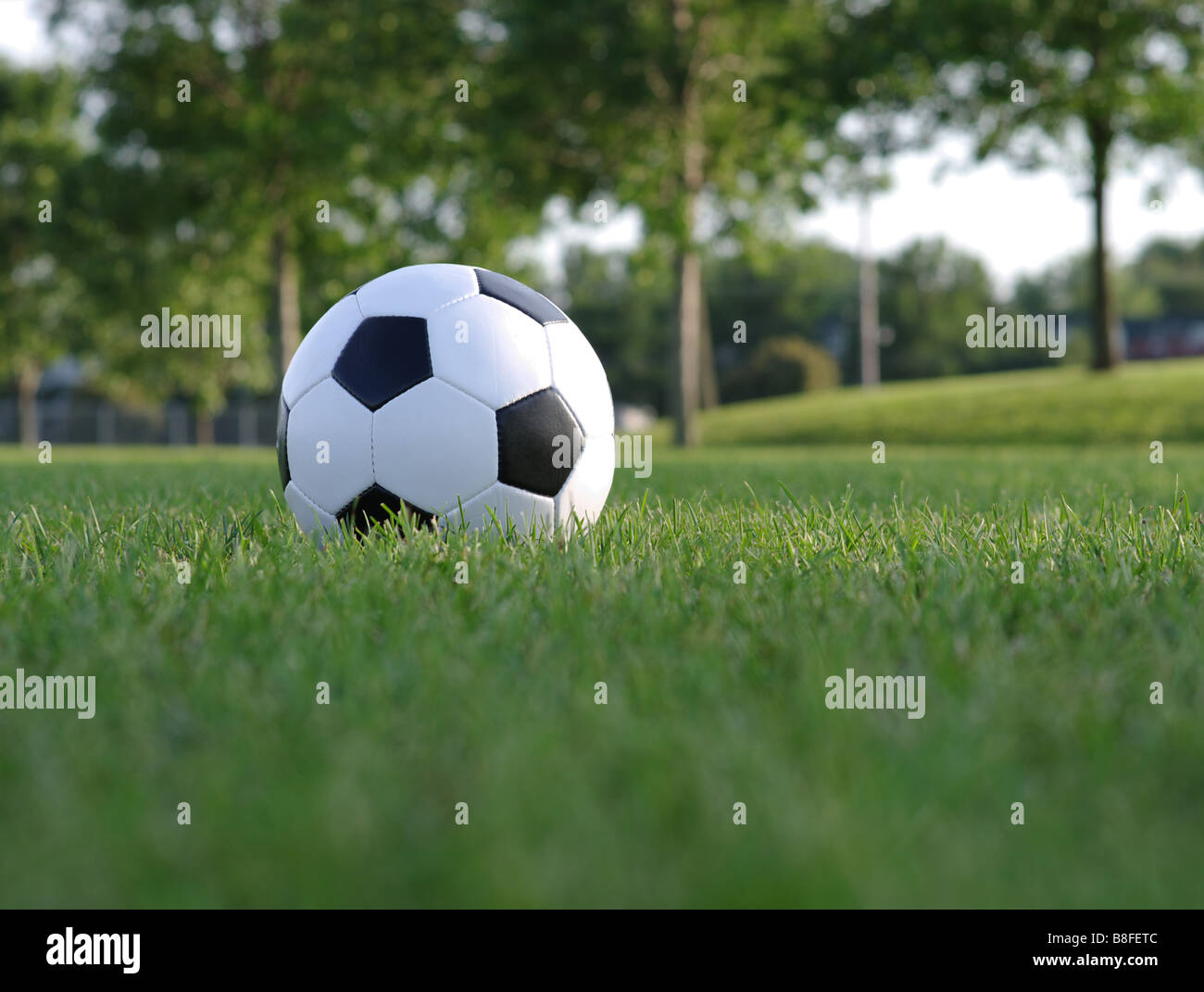Soccer ball on the field Stock Photo - Alamy